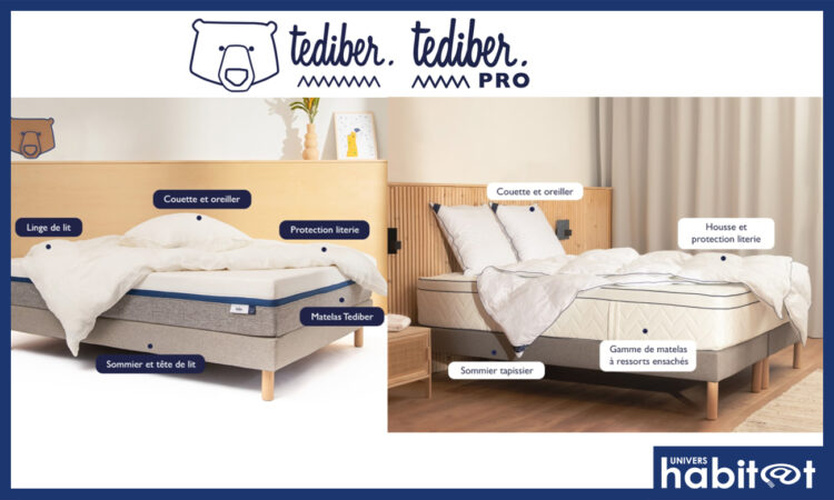 Tediber développe son offre professionnelle et dévoile une étude sur le ...