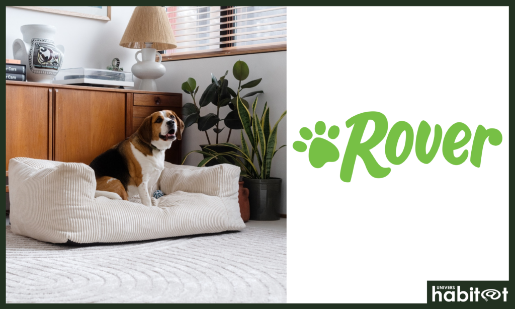 39% des Français sont prêts à aménager une chambre pour leur animal de ...